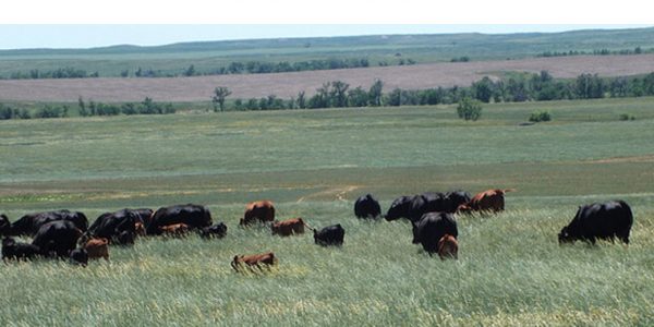 USDA Accepts 2.2 Million Acres Through Conservation Reserve Programs ...