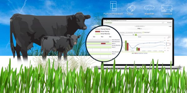 Try New Grazing Recordkeeping System for FREE! – Northern Ag Network