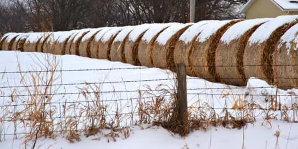 Tips to Consider when Stacking and Storing Hay This Season – Northern ...