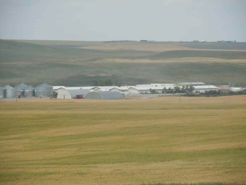 New Study Examines Affect of Hutterite Colonies on State’s Economy ...