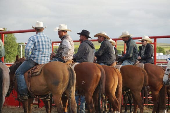 Home » Northern Ag Network