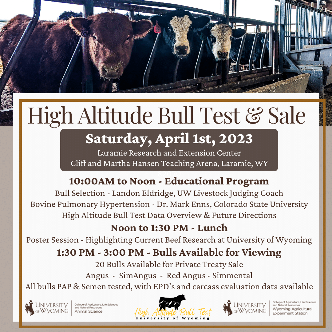 UW High Altitude Bull Test-Field Day & Private Treaty Sale – Northern ...
