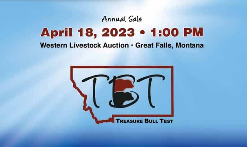 Treasure Bull Test – Northern Ag Network