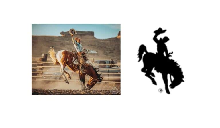 WY Photographer Captures Nearly Identical Shot of Iconic Logo ...